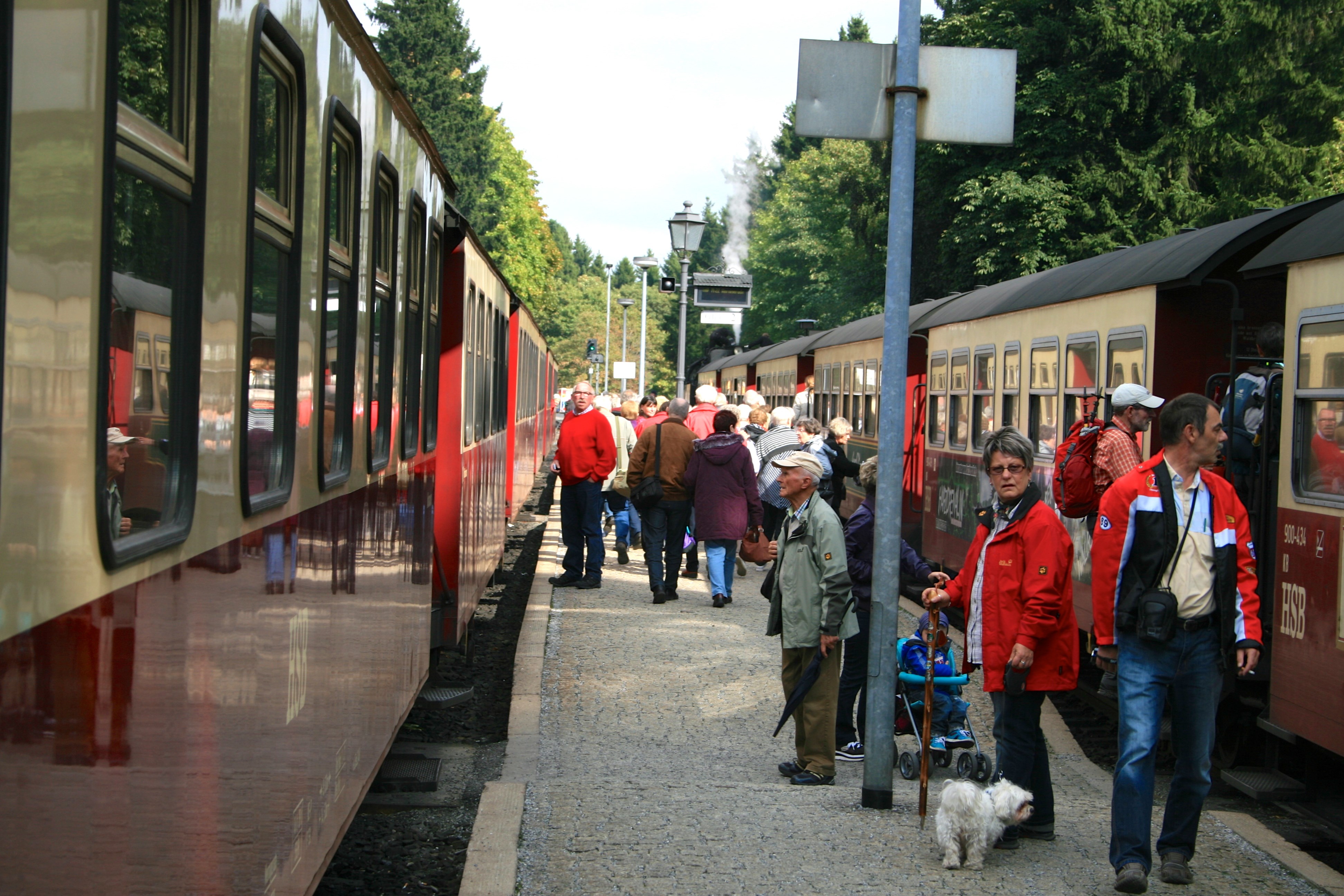 Stoomtreinen in de Harz | Rondreis Duitsland | Treinreiswinkel